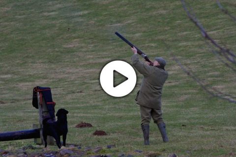 The best UK fieldsports video sites - Castle Gunmakers